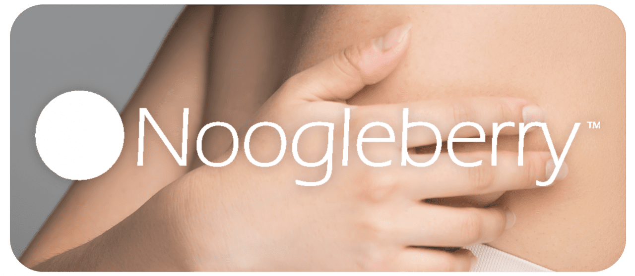 Growing Online Success with Noogleberry
